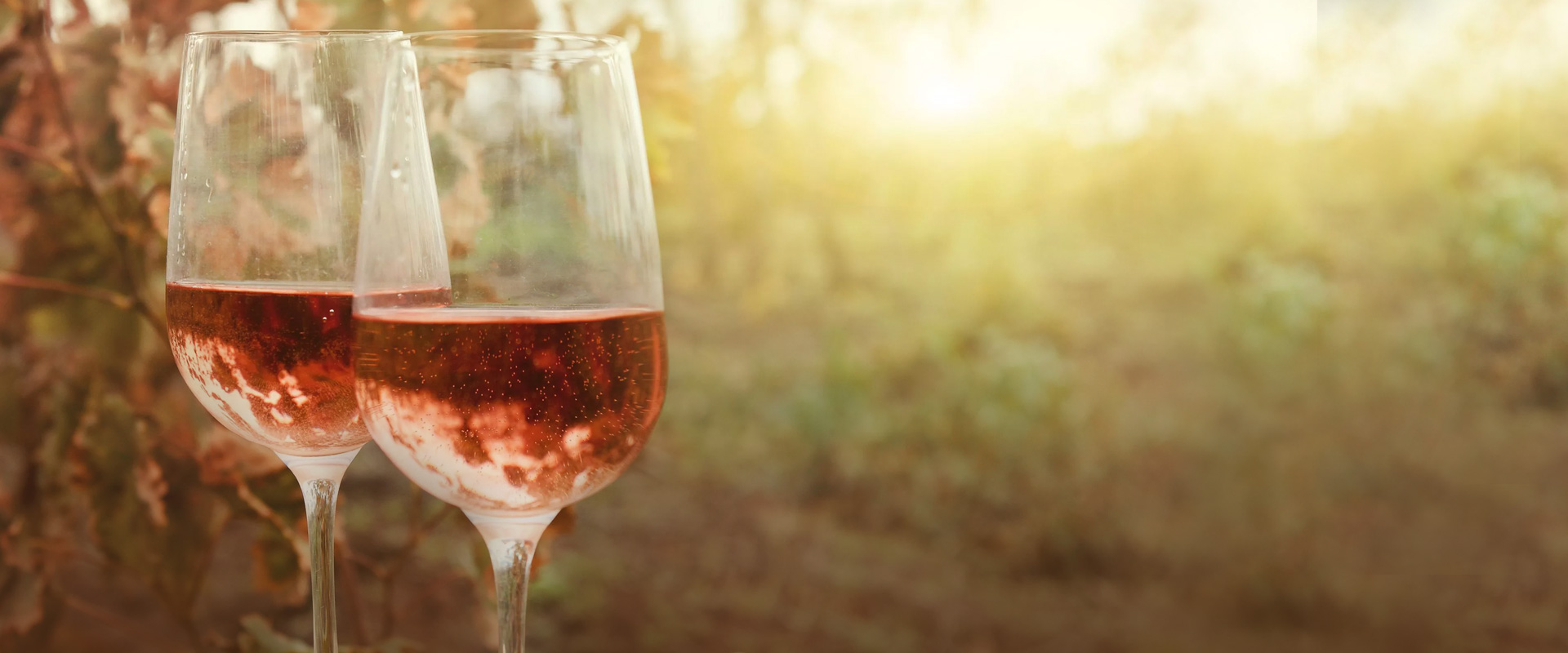 201809_DM_rose_header - Digest Miami: Miami's best restaurants, chefs ...