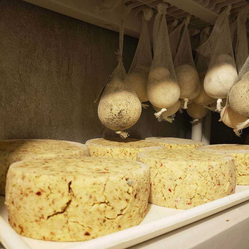 cheese_body_800x800 - Digest Miami: Miami's best restaurants, chefs ...