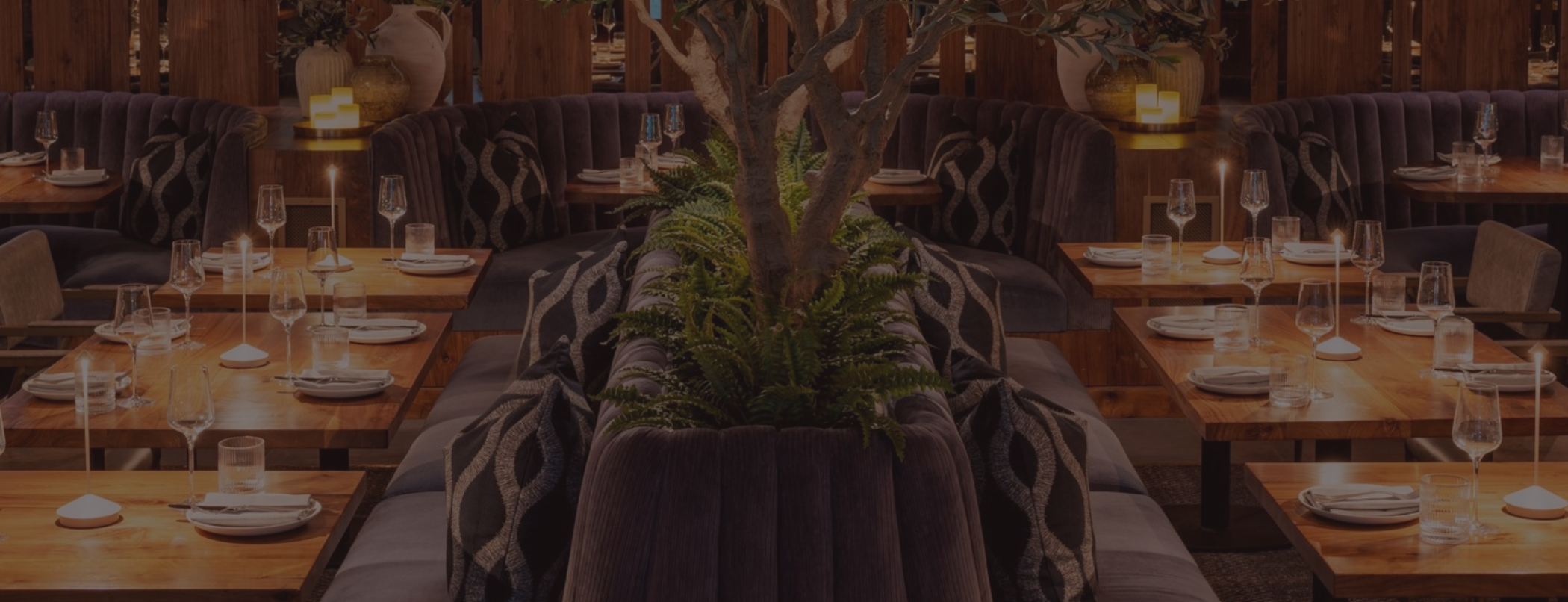 2023_digestmiami_headers - Digest Miami: Miami's best restaurants ...